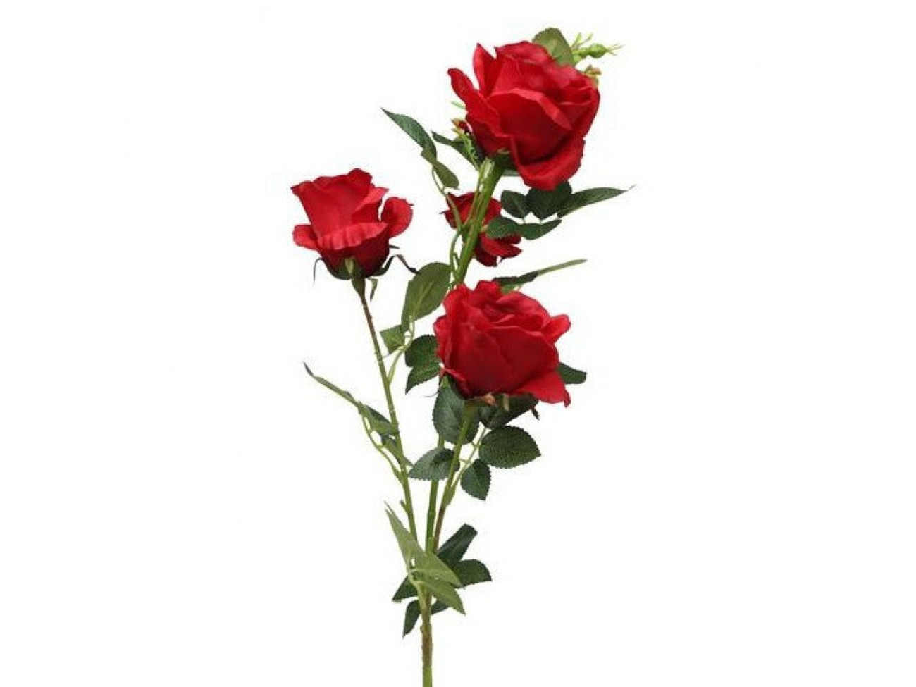 Fat Llama | Rent (almost) anything