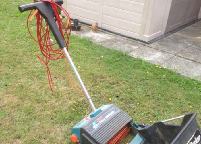 Black And Decker Electric Lawn Rake | atelier-yuwa.ciao.jp